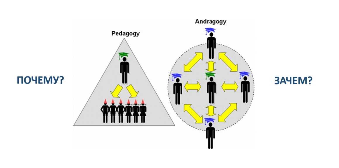 Век живи – век учись! Как и почему учатся взрослые | Digital Broccoli